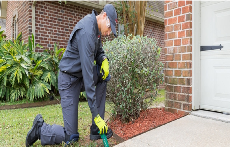 Pest Control: Get the best services in Dallas | Fandecomix.com